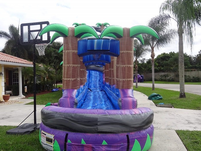 Purple Paradise Inflatable Water Slides With Pool / Adult Inflatable ...