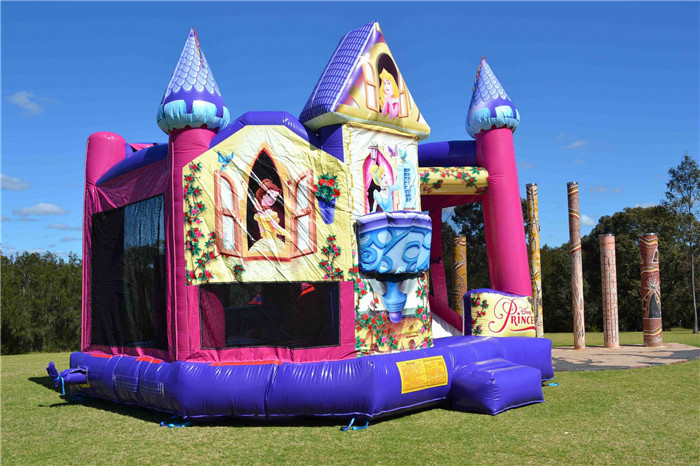 Brightly Color Disney Princess 5 In1 Combo Jumping Castle For Amusement ...