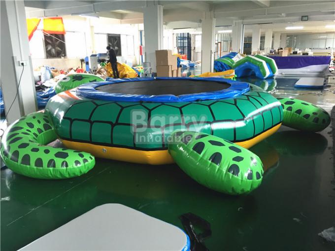 ODM Inflatable Turtle With Slide Durable 0.9mm Pvc Tarpaulin Material